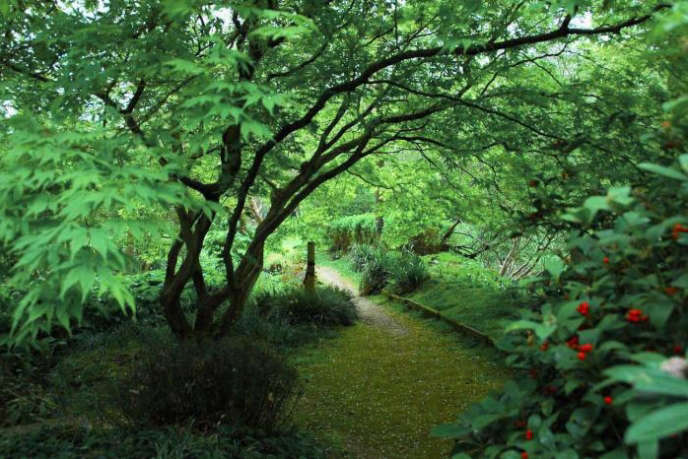 A Glamorous Black and White Cottage Garden - Gardenista