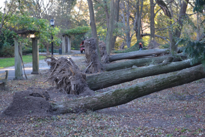 Hardscaping 101: Tree Stumps - Gardenista