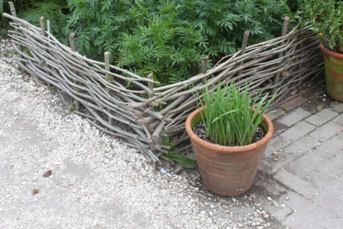 Hardscaping 101: Seashell Paths and Driveways - Gardenista