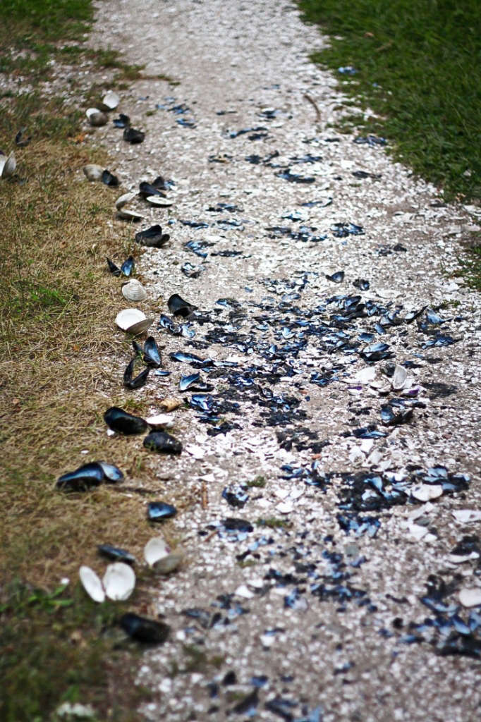 Hardscaping 101: Seashell Paths and Driveways - Gardenista