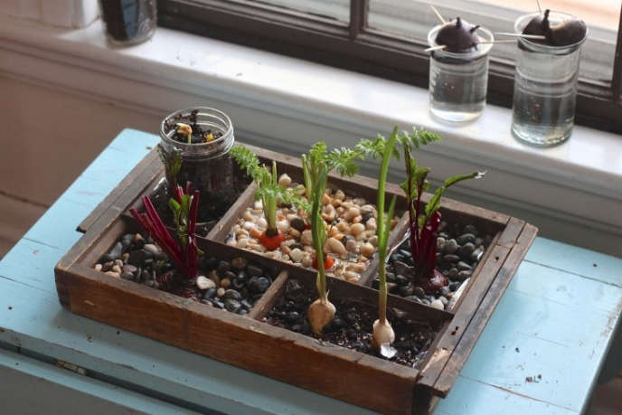 DIY: Grow an Indoor Compost Garden - Gardenista