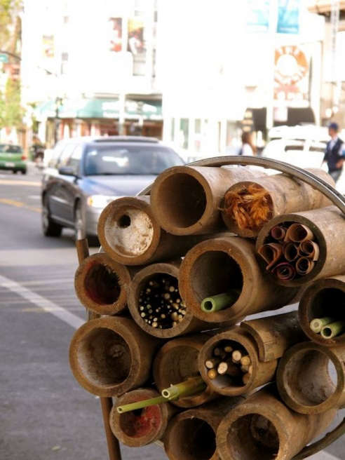 Trend Alert: The Bespoke Bug House - Gardenista