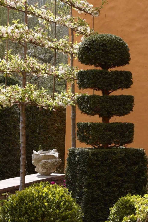 Landscaping 101: Pleached Trees - Gardenista