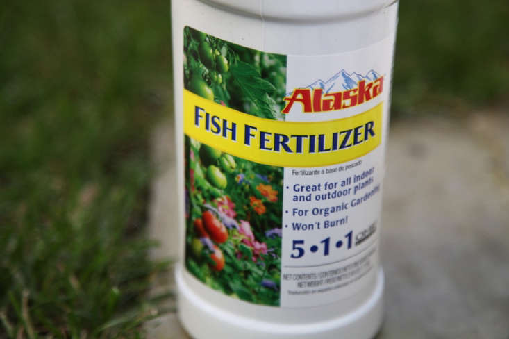 A Pet-Friendly Kitchen Garden with The Home Depot - Gardenista