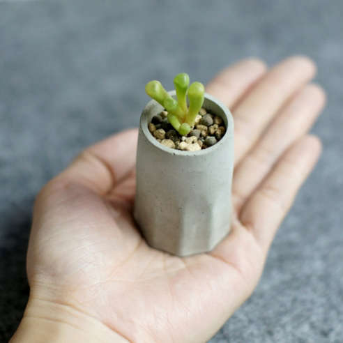 10 Easy Pieces: Portable Concrete Pots - Gardenista
