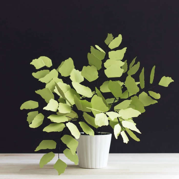 DIY: Pretty and Carefree Paper Plants - Gardenista