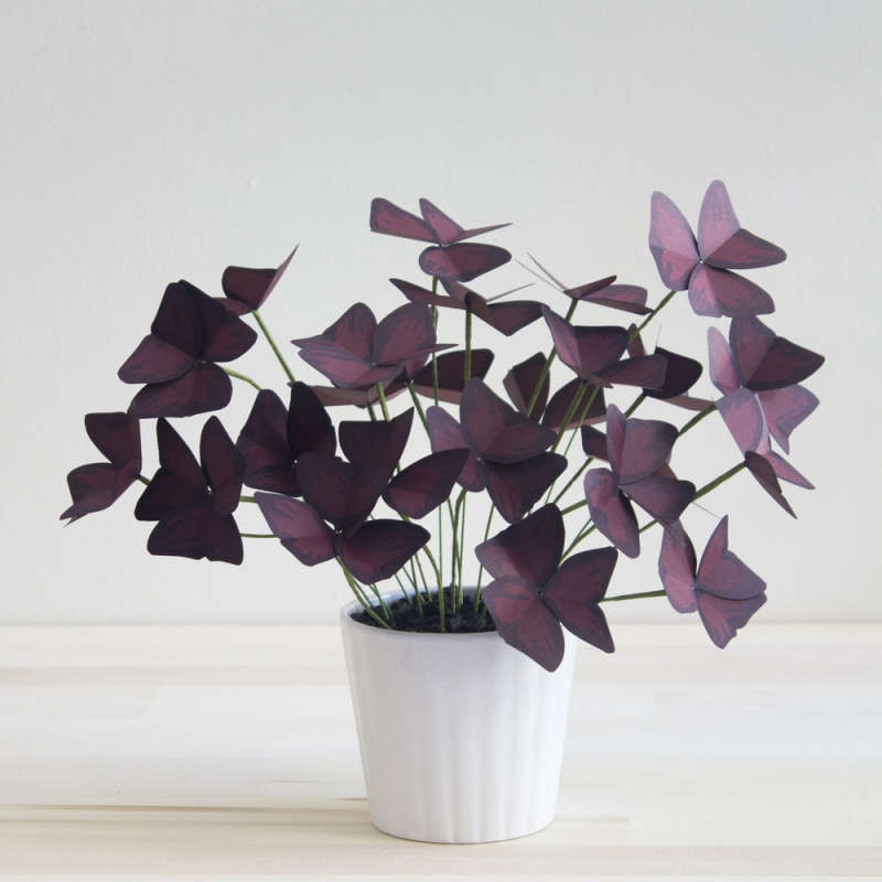 DIY: Pretty and Carefree Paper Plants - Gardenista