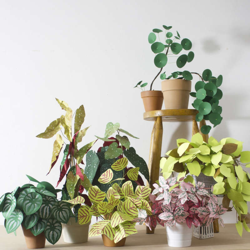 DIY: Pretty and Carefree Paper Plants - Gardenista