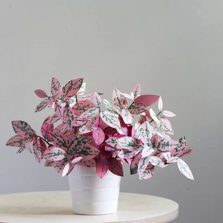 DIY: Pretty and Carefree Paper Plants - Gardenista