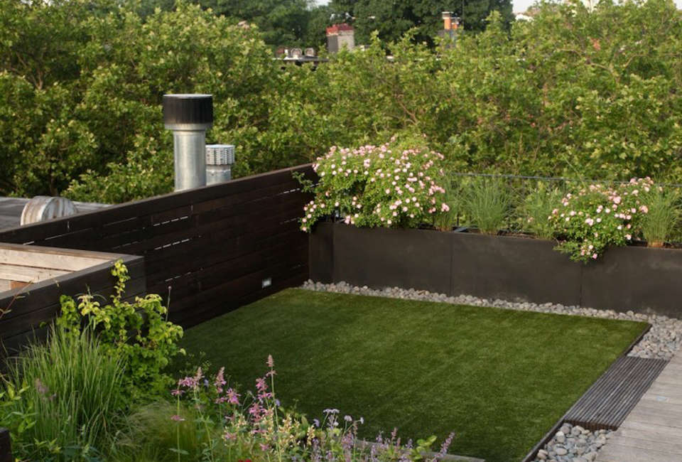 Announcing Our New Guide to Ground Covers - Gardenista