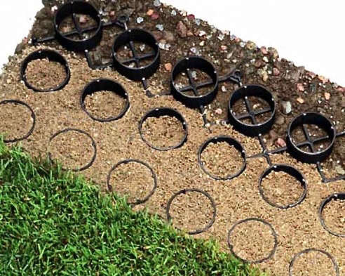 Steal This Look: Garden Courtyard at Shed in Healdsburg, CA - Gardenista