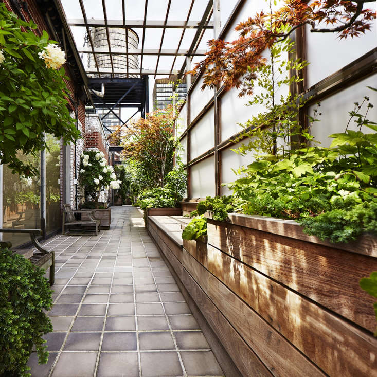 Architects' Secrets: 10 Ideas to Create Privacy in the Garden - Gardenista
