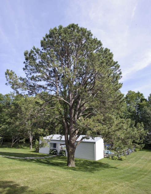 Dreaming in Blue at a Stylist's Hamptons Compound - Gardenista