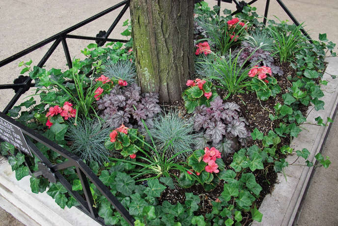 Hardscaping 101: Tree Beds - Gardenista