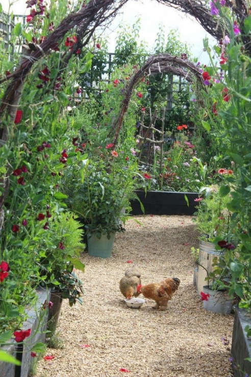 Modern Farmer: 9 Backyard Gardens with Chickens - Gardenista
