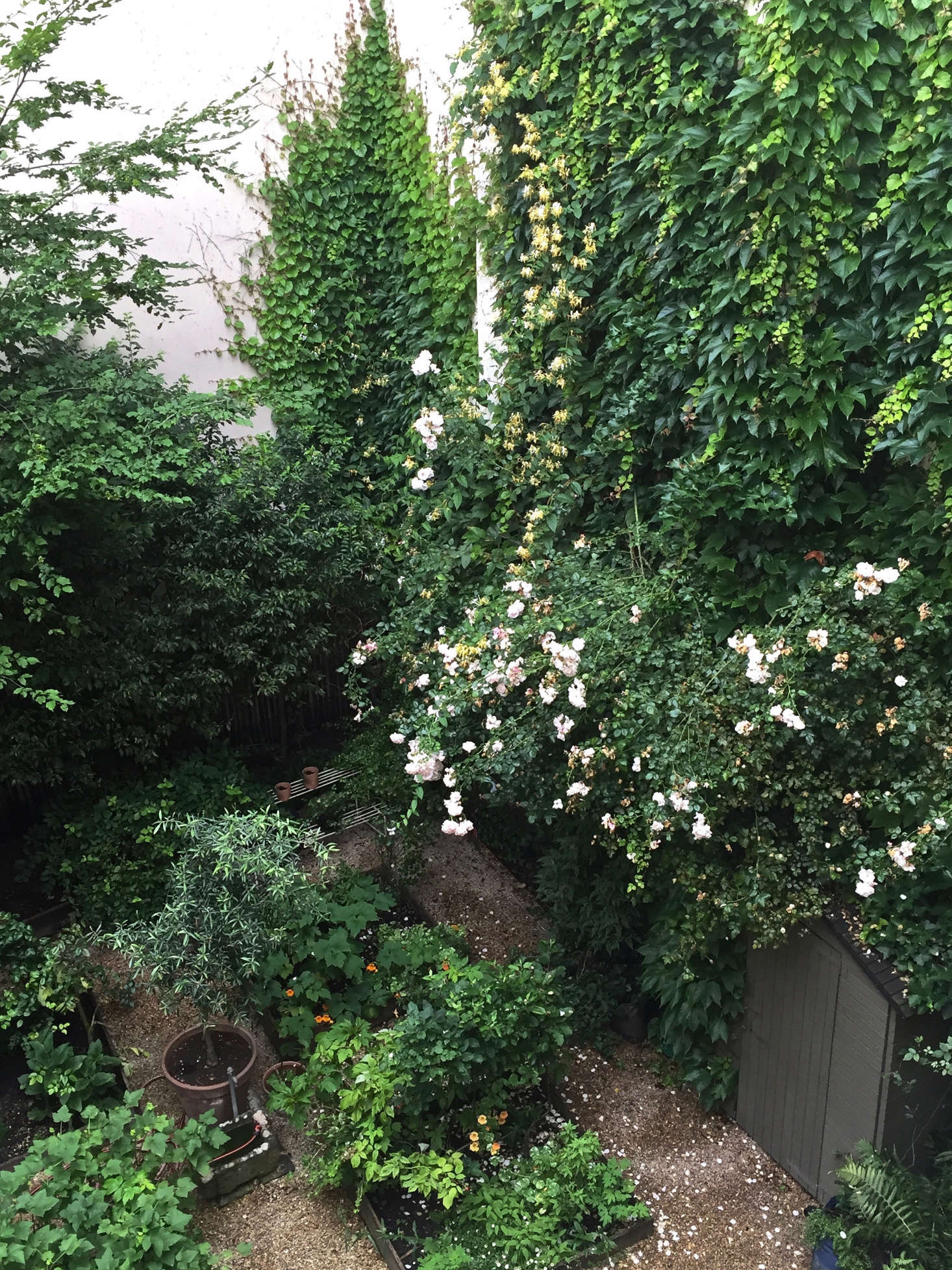 On the Street: 10 Garden Ideas to Steal from Paris - Gardenista