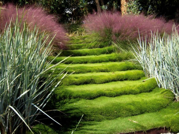 Architect Visit: A Hazy Landscape of Grasses in Santa Monica - Gardenista