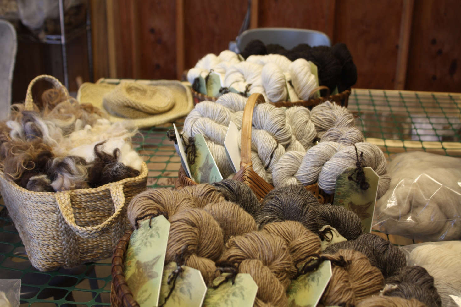 Behind the Scenes: A Visit to Spring Coyote Ranch in West Marin ...