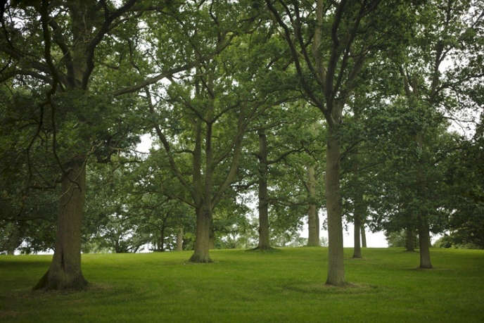 England's Greatest Landscaper: 10 Garden Ideas to Steal from Capability ...