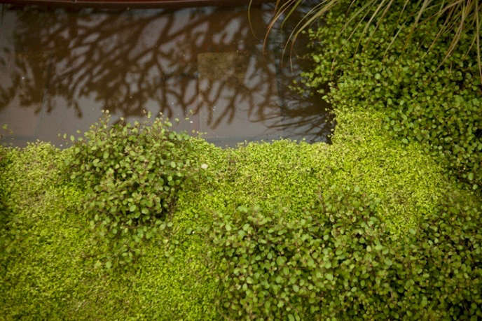 England's Greatest Landscaper: 10 Garden Ideas to Steal from Capability ...