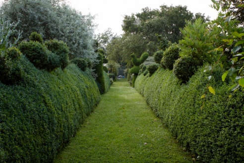 Hardscaping 101: Hedges - Gardenista