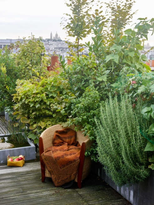 Secret Paris: A Tiny Roof Garden with an Eiffel Tower View - Gardenista