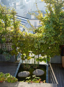 Secret Paris: A Tiny Roof Garden with an Eiffel Tower View - Gardenista