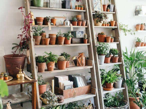 Browse the Botany Retailer Collection on - Gardenista