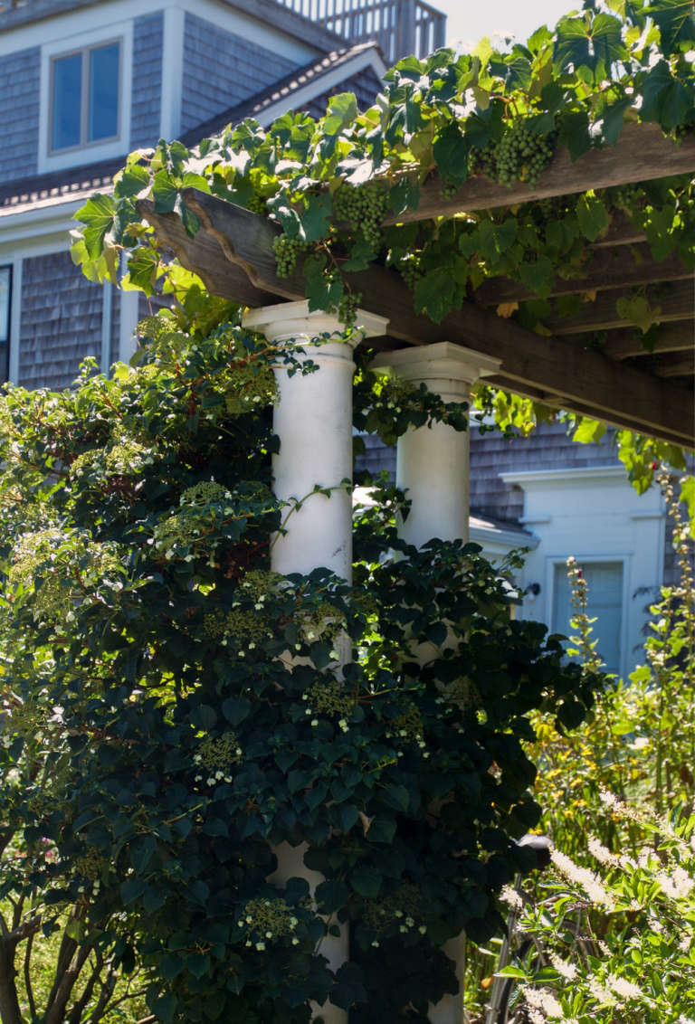 Everything You Need to Know About Arbors - Gardenista