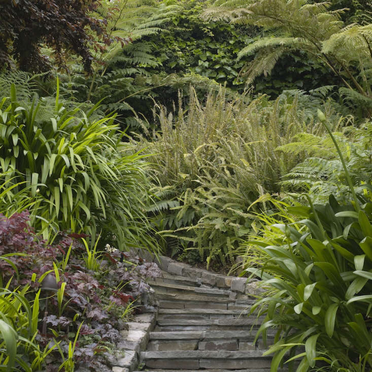 Landscape Architect Visit: A Modern Makeover for a San Francisco Grande ...