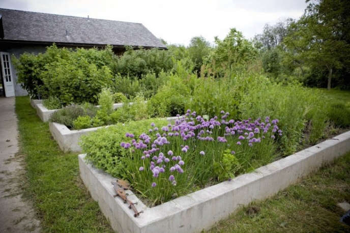 10 Ideas to Steal from Chefs' Gardens Around the World - Gardenista