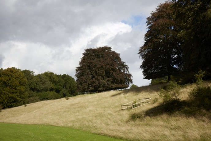 Gardening 101: Copper Beech - Gardenista