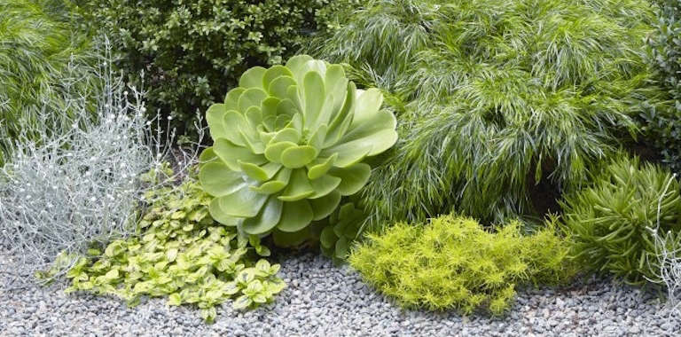 Jeanne Rostaing, Author at Gardenista