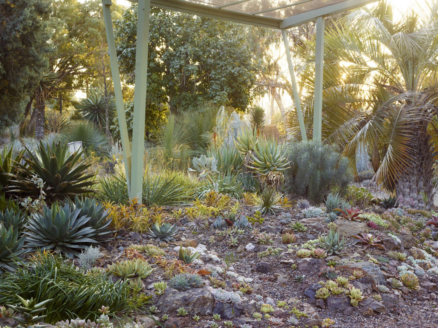 Required Reading: Ruth Bancroft's Bold Dry Garden - Gardenista