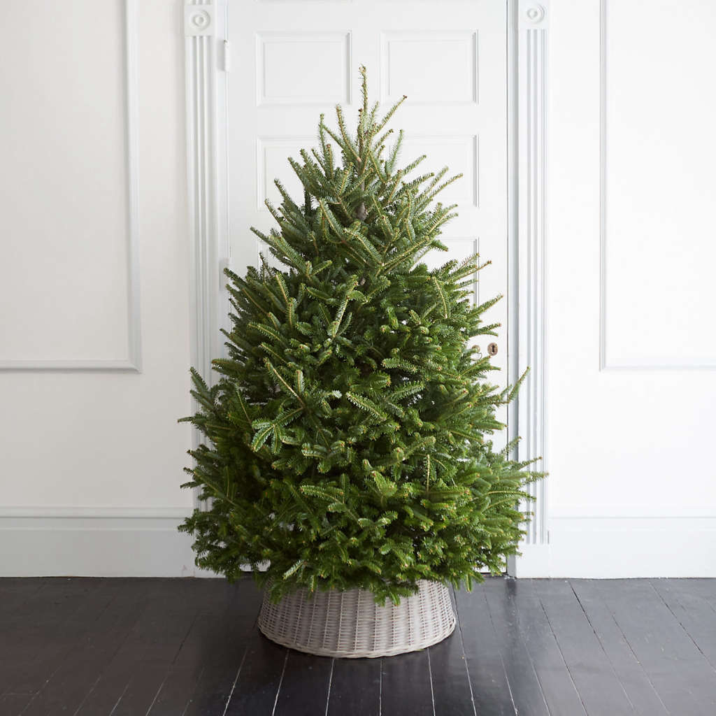 Festive Holiday Decor from Terrain - Gardenista