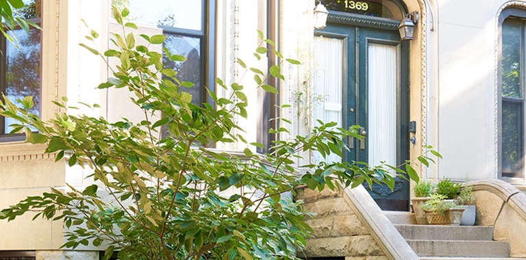 Browse the Issue of On the Horizon on - Gardenista