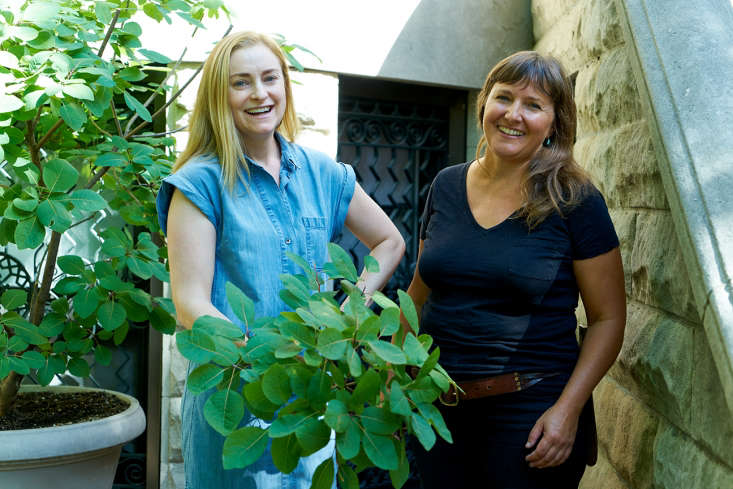 My Brooklyn Story: Creating a Townhouse Garden from Scratch in Crown ...