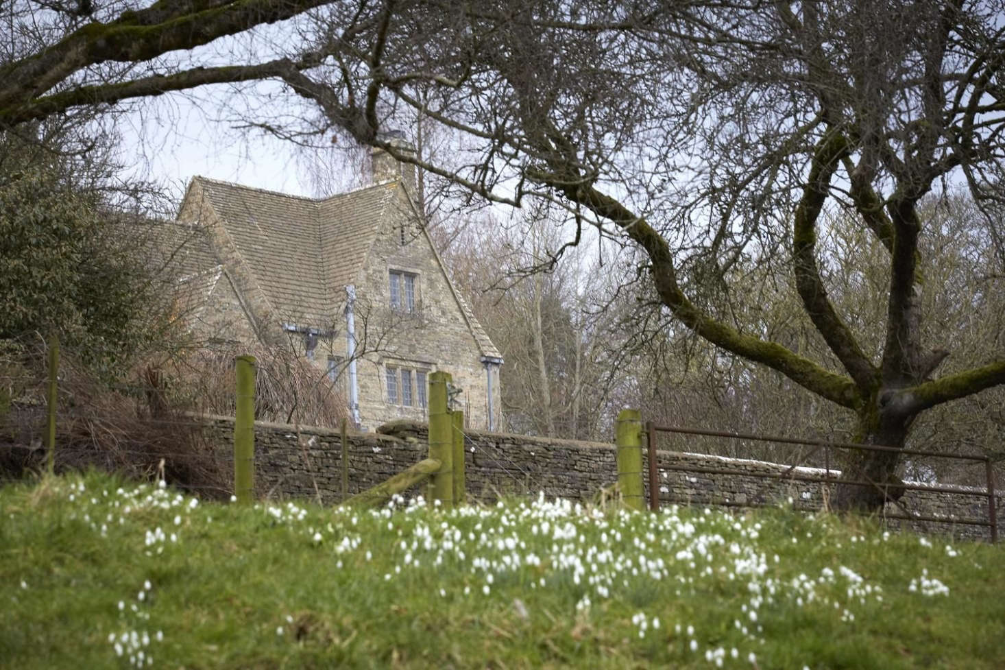 Garden Visit: Snowdrops Season at Cotswold Farm - Gardenista