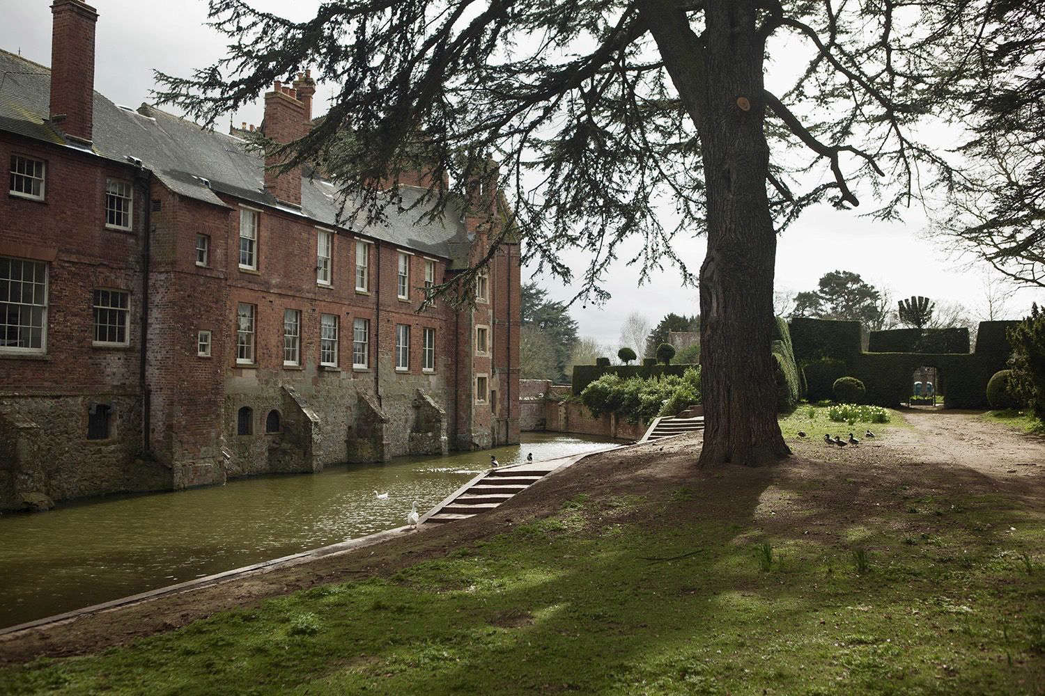 Garden Visit: Daffodil Days at Madresfield Court - Gardenista