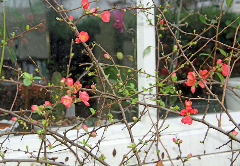 Jeanne Rostaing, Author at Gardenista