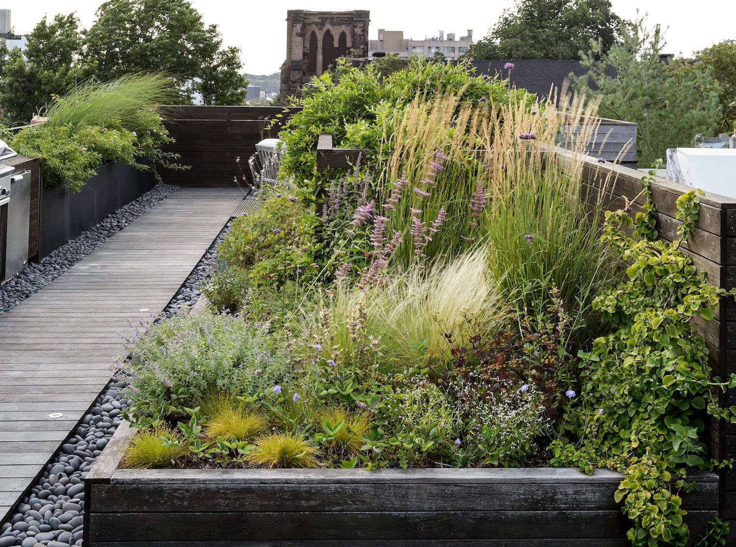 Ask the Expert: Roof Garden Basics with Designer Julie Farris - Gardenista
