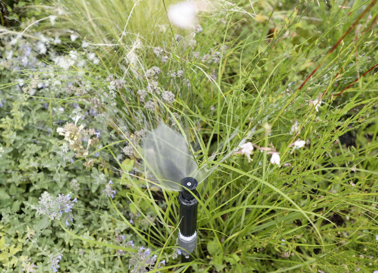 The Garden Decoder: What Is 'Hydrozoning'? - Gardenista