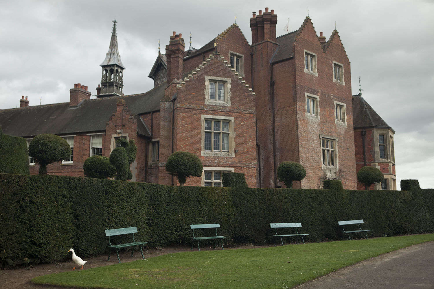 Garden Visit: Daffodil Days at Madresfield Court - Gardenista