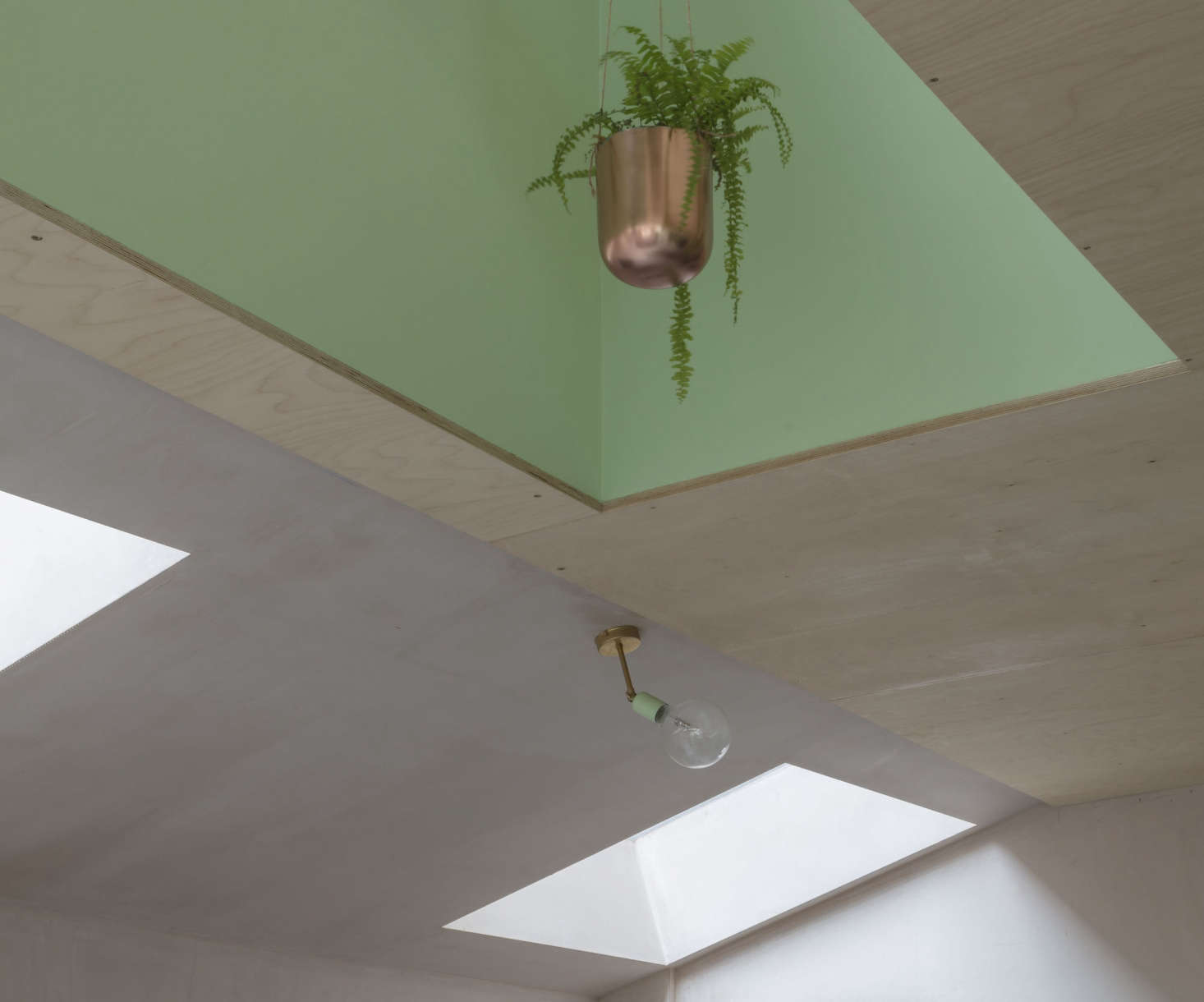 Sky's the Limit: 5 Indoor Plants for Rooms with High Ceilings - Gardenista