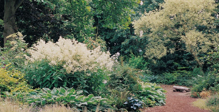 Beth Chatto’s Garden: Shade-Loving Plants for Year-Round Interest ...