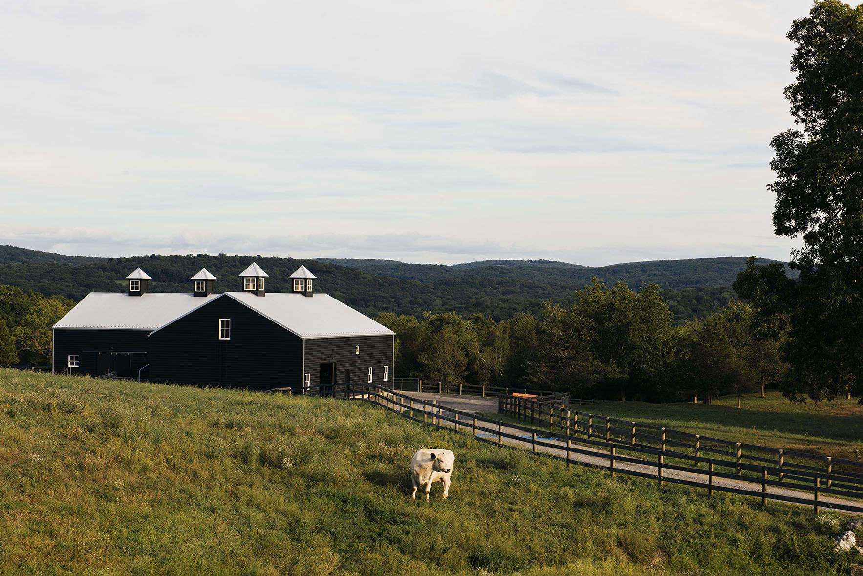 Sky High Farm: Artist Dan Colen's Painterly Landscape in the Hudson ...