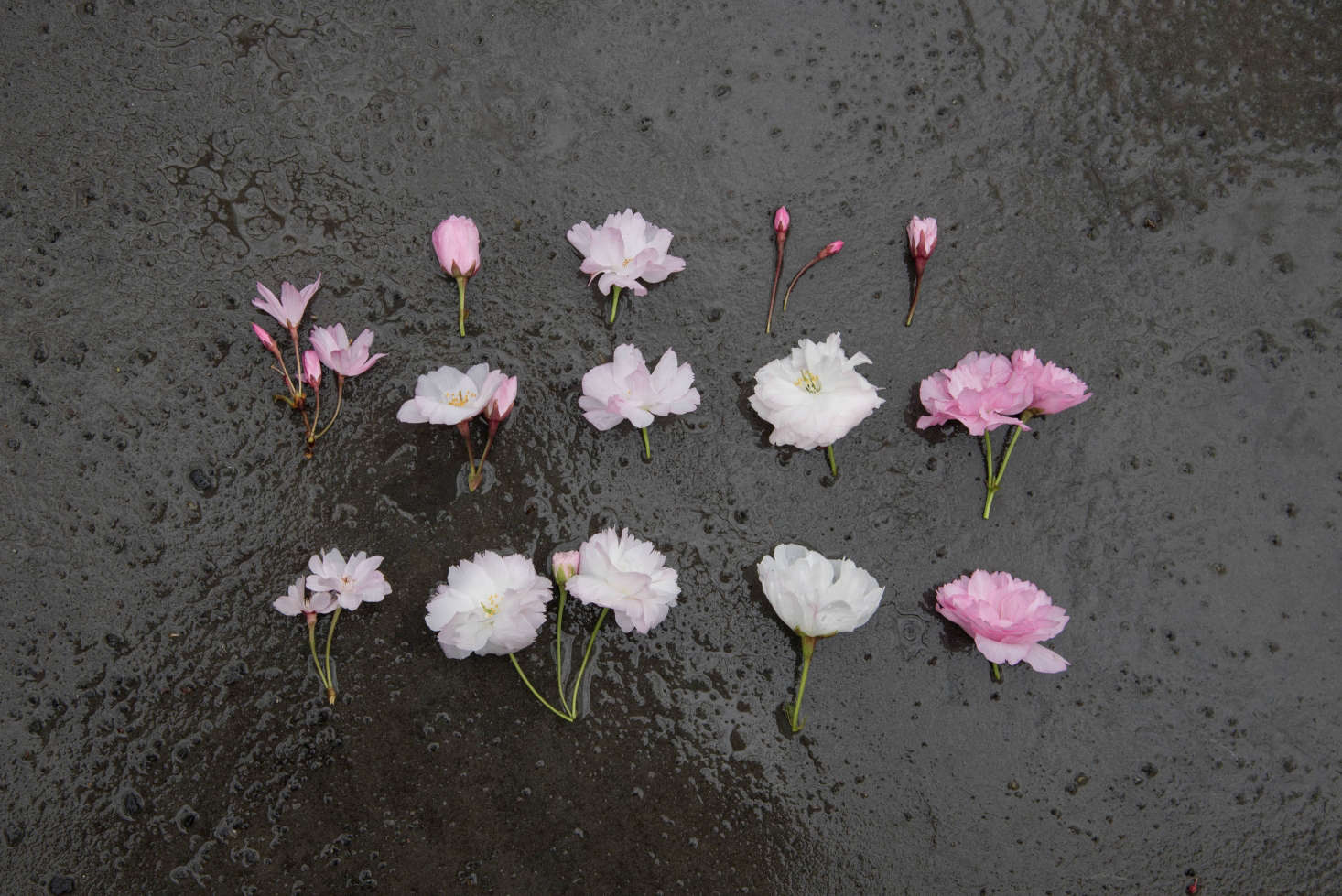 Current Obsessions: Curled Up with a Catalog - Gardenista