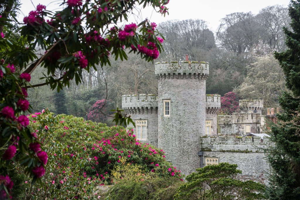 Rhododendrons and Memories of Manderley: A Garden Visit - Gardenista