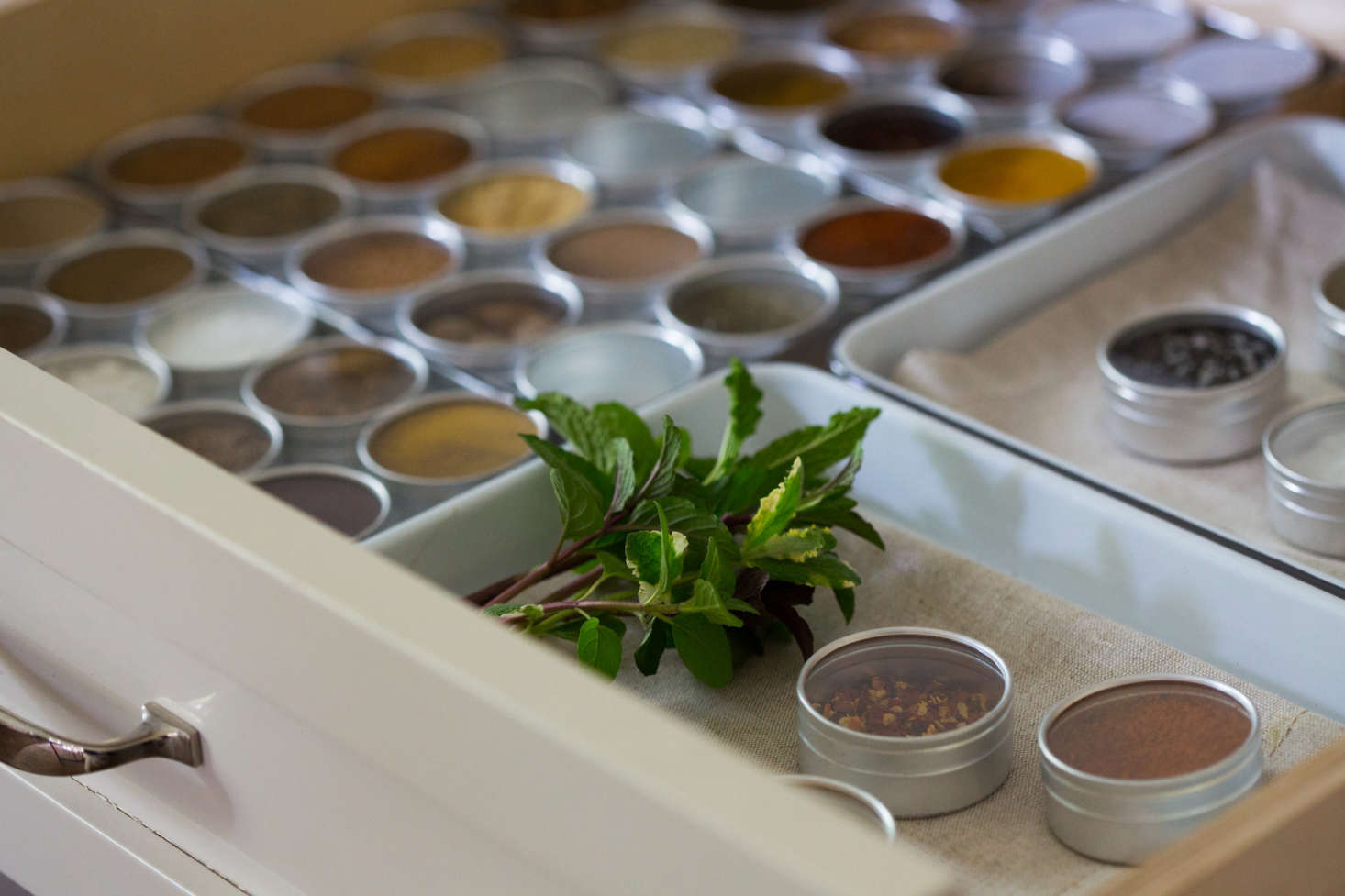 Mints: 9 Favorites for a Cook's Container Garden - Gardenista