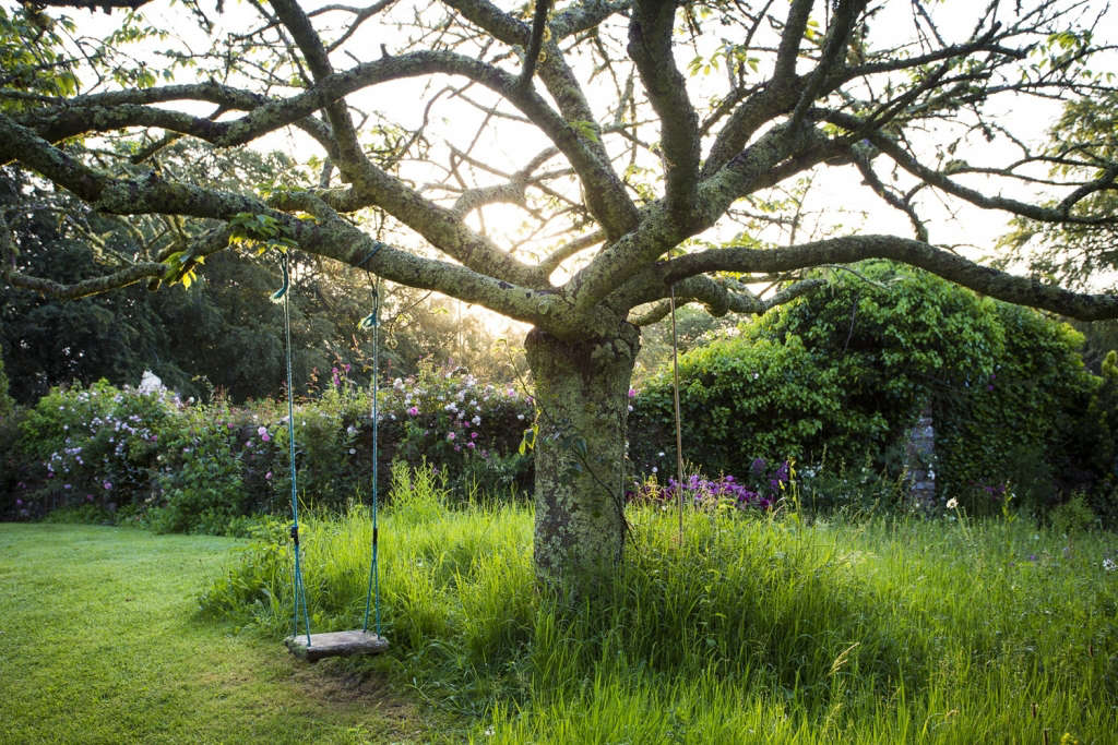 Can This Garden Be Saved: I Don't Like Mowing Around Trees - Gardenista